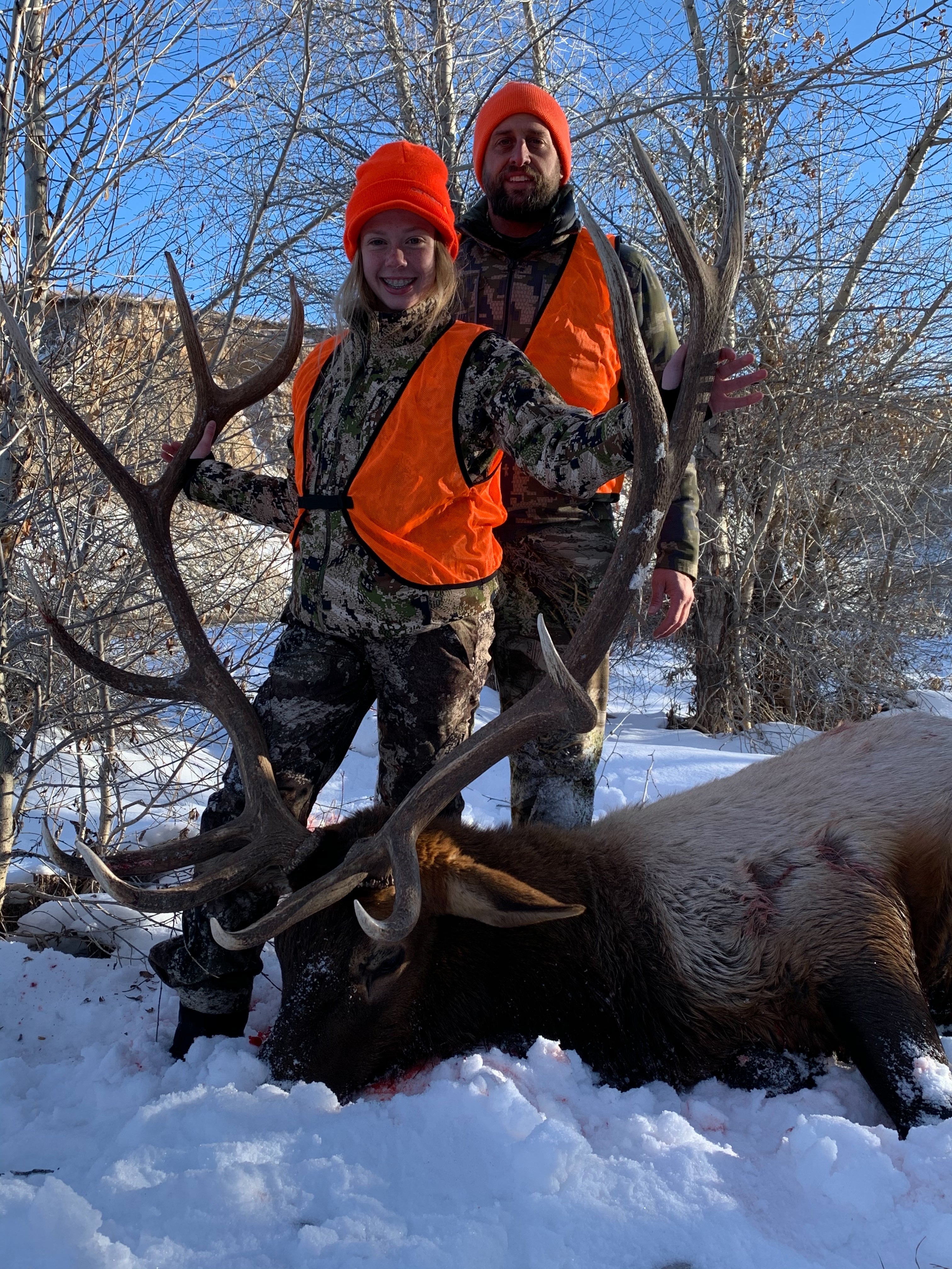 Elk Bull at 250 yards with Swift Sirocco – Swift Bullet Company